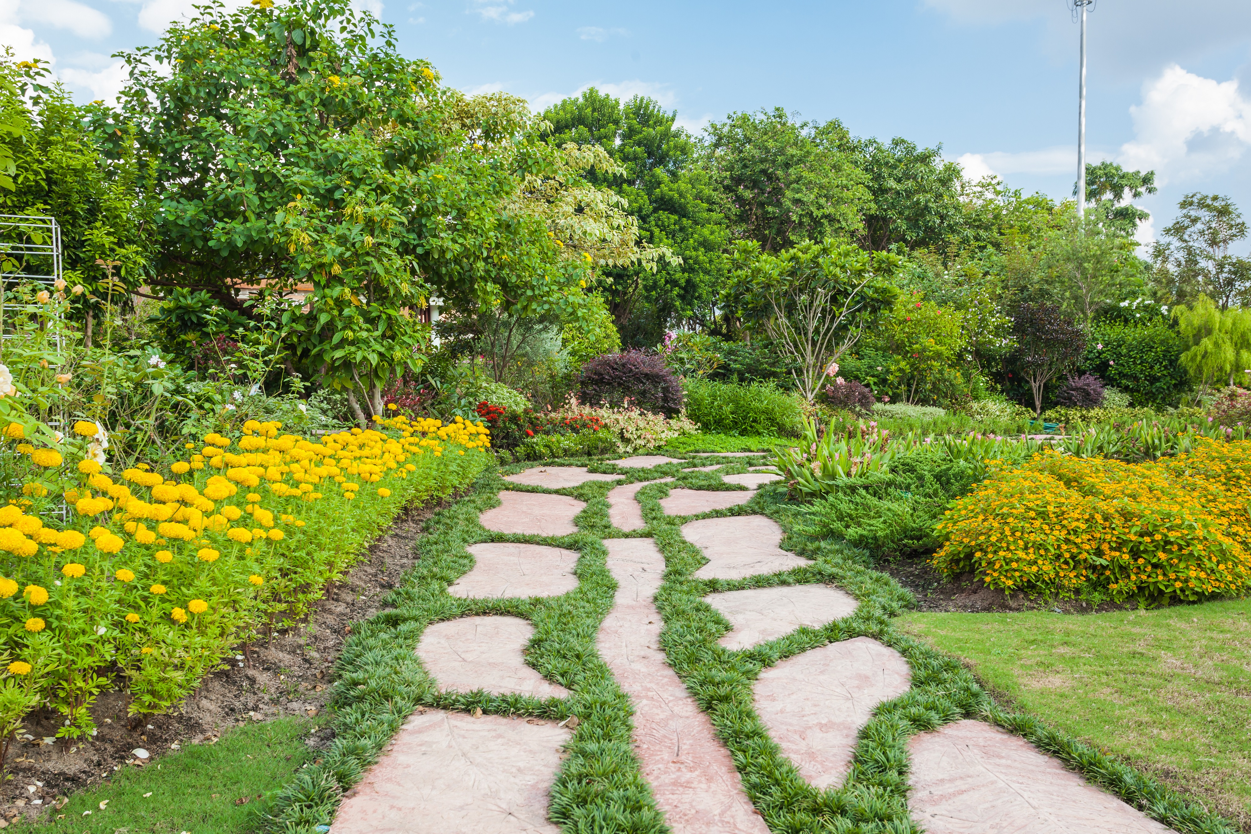 Lucky Shurb - Landscape planner for you.